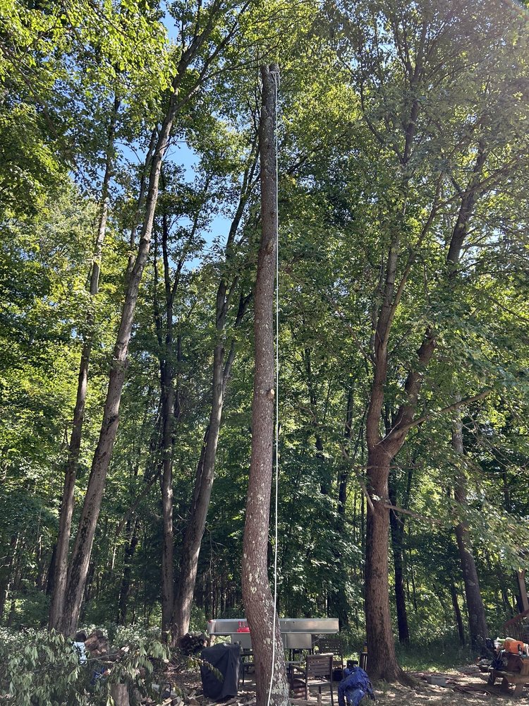 NORTHERN WINDS TREE CARE - Updated October 2024 - Morrow, Ohio - Tree ...