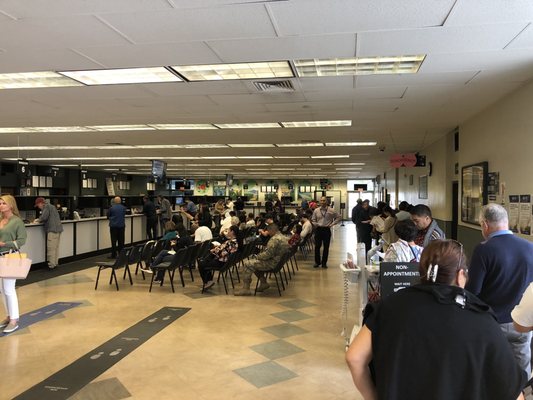 DEPARTMENT OF MOTOR VEHICLES - 109 Photos & 603 Reviews - 49 S Rosemead ...