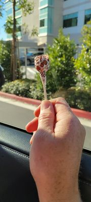 THEODORE BENDEREV, MD - THE VASECTOMY DOCTOR - Updated December 2025 ...