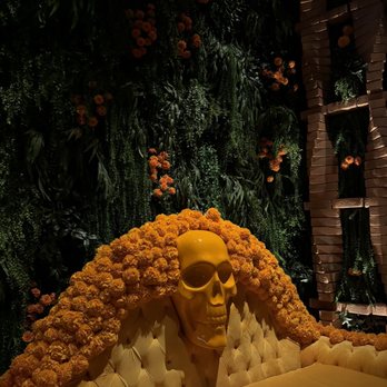 WAX RABBIT - Updated May 2024 - 214 Photos & 51 Reviews - 6915 S ...