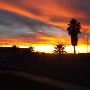 DESERT PUEBLO RV RESORT - Updated May 2024 - 16 Photos - 28726 Hwy 72 ...