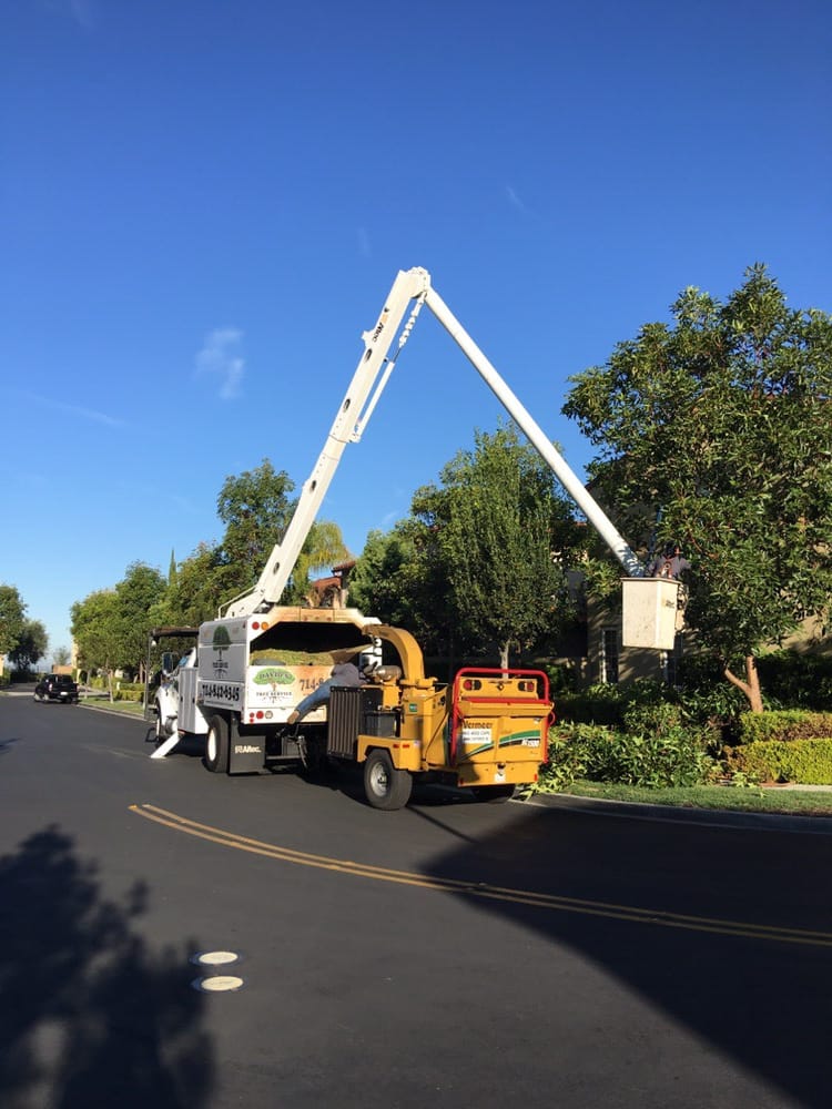 DAVID’S TREE SERVICE - 84 Photos & 96 Reviews - 19051 Gothard St ...