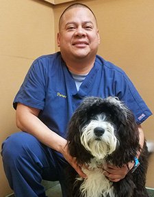 READE STREET ANIMAL HOSPITAL - Updated May 2026 - 54 Photos & 140 ...