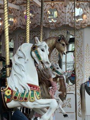 LOOFF CAROUSEL - Updated December 2025 - 27 Photos & 20 Reviews - 504 W ...