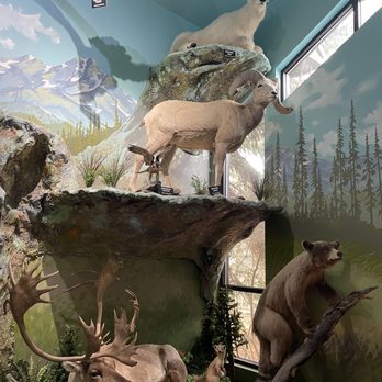 THE MK MORRISON KNUDSEN NATURE CENTER - Updated August 2025 - 153 ...