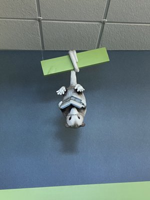 LARGO PUBLIC LIBRARY - Updated December 2025 - 84 Photos & 42 Reviews ...