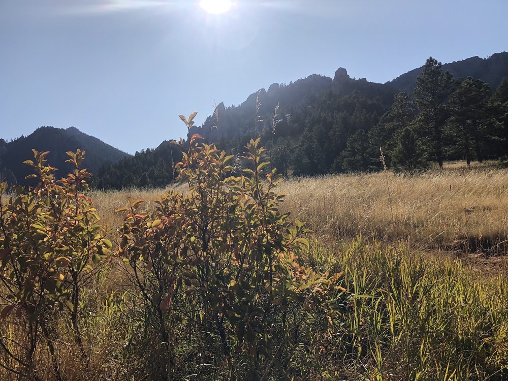 MALLORY CAVE TRAIL - NCAR MESA TRAIL - 16 Photos - Hiking - Mallory ...