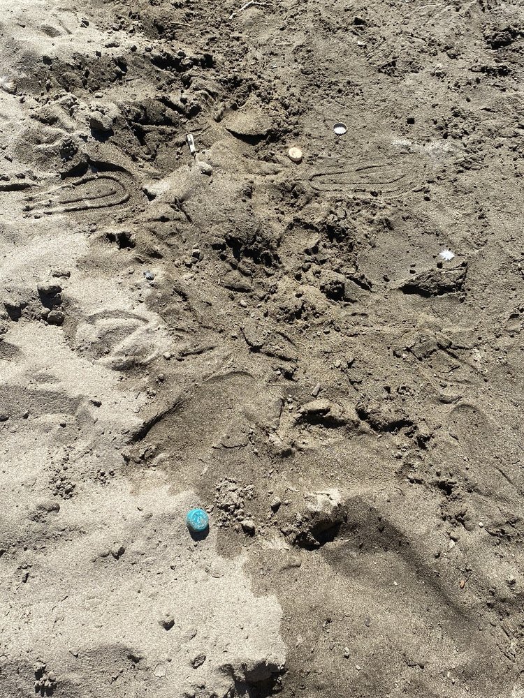 SAND COVE BEACH - Updated October 2025 - 79 Photos & 52 Reviews - 2005 ...