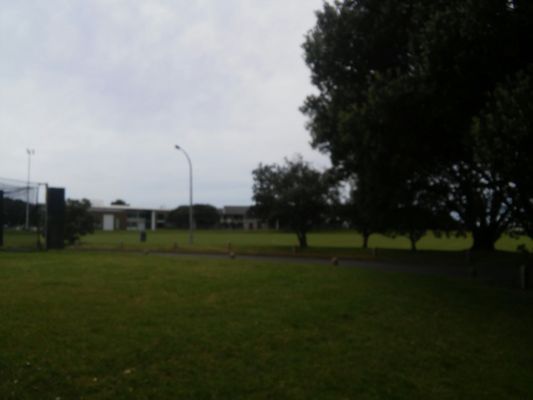 COLIN MAIDEN PARK - Merton Rd, Auckland, New Zealand - Yelp