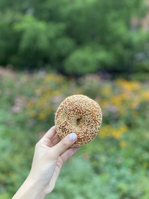 POPUP BAGELS - Updated September 2025 - 843 Photos & 530 Reviews - 177 Thompson St, New York ...