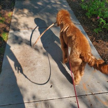 SNICKERSDOODLES - Updated October 2025 - 69 Photos & 37 Reviews - Weir ...