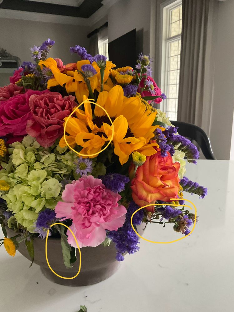 OBERER’S FLOWERS - Updated October 2025 - 37 Photos & 84 Reviews - 7675 ...