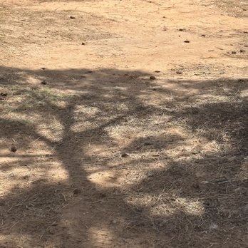 GREEN TREE COUNTRY CLUB - Updated January 2026 - 20 Photos - 4900 Green ...