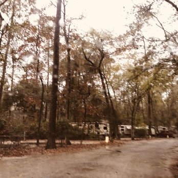 BLYTHE ISLAND REGIONAL PARK - Updated October 2025 - 40 Photos & 18 ...