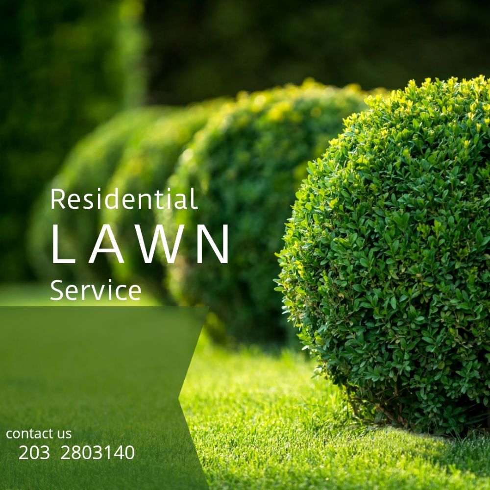 M&N LAWN SERVICE - Updated June 2026 - 36 Photos - North Plainfield ...