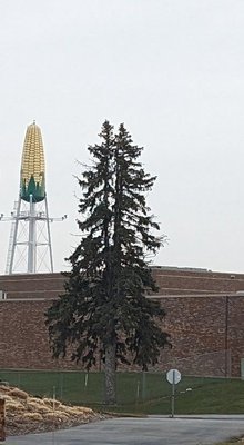 EAR OF CORN WATER TOWER - Updated December 2025 - 10 Photos - 1300 ...