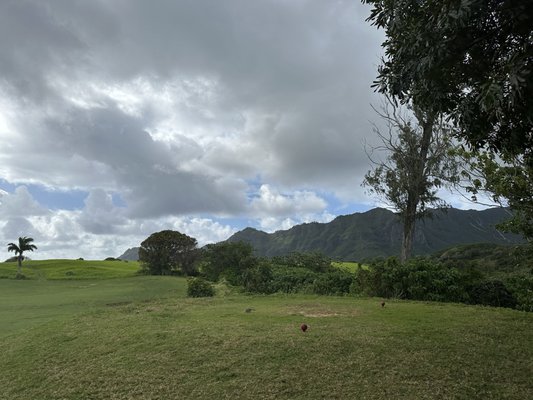 PUAKEA GOLF COURSE - Updated September 2025 - 72 Photos & 71 Reviews ...