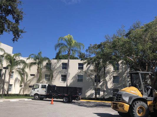 LYNN UNIVERSITY - 43 Photos & 18 Reviews - 3601 N Military Trl, Boca ...