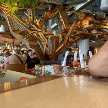 MONKEYPOD KITCHEN - Updated August 2024 - 1476 Photos & 744 Reviews ...