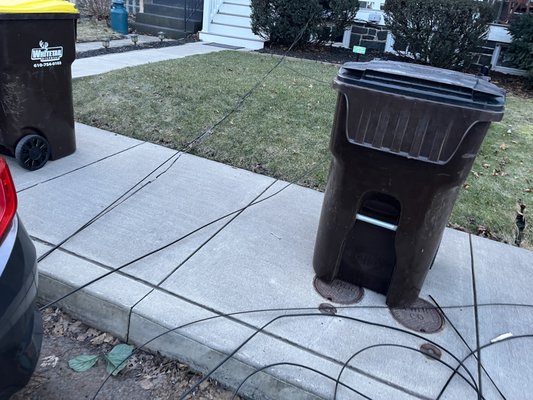 WHITETAIL DISPOSAL - Updated January 2026 - 28 Photos & 357 Reviews ...