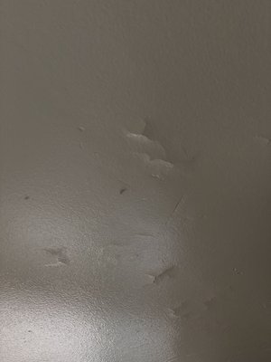 SUNNOVA - Updated January 2025 - 79 Photos & 341 Reviews - 20 Greenway ...