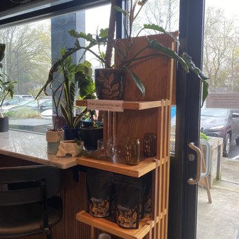 THE OPTIMIST - Updated July 2024 - 198 Photos & 119 Reviews - 1000 ...