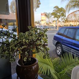 THE ORIGINAL TACO FACTORY - Updated April 2025 - 629 Photos & 900 ...