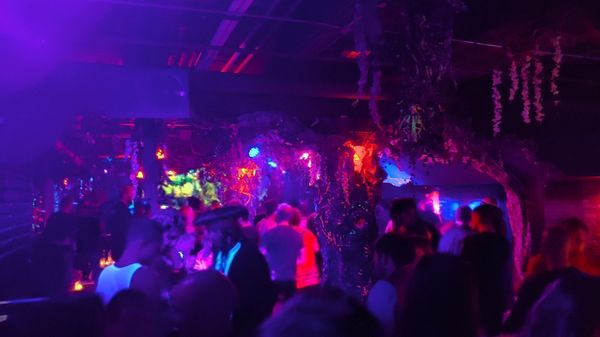 SPYBAR - Updated October 2025 - 42 Photos & 238 Reviews - 646 N ...