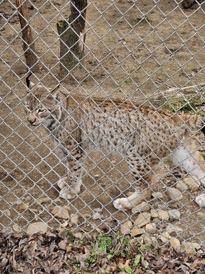 TIGER WORLD - Updated January 2026 - 438 Photos & 118 Reviews - 4400 ...