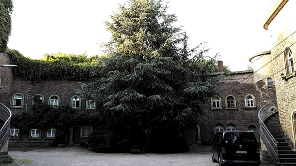 FORT X - 17 Photos - Köln, Nidwalden - Landmarks & Historical Buildings ...