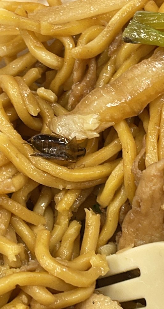 CHINA HOUSE - Updated June 2025 - 48 Reviews - 14645 Jefferson Davis ...