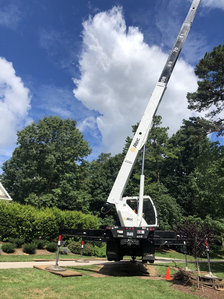 Tree Services - YOUNGS TREE TECH - 19 Photos & 34 Reviews - 6300-170 ...