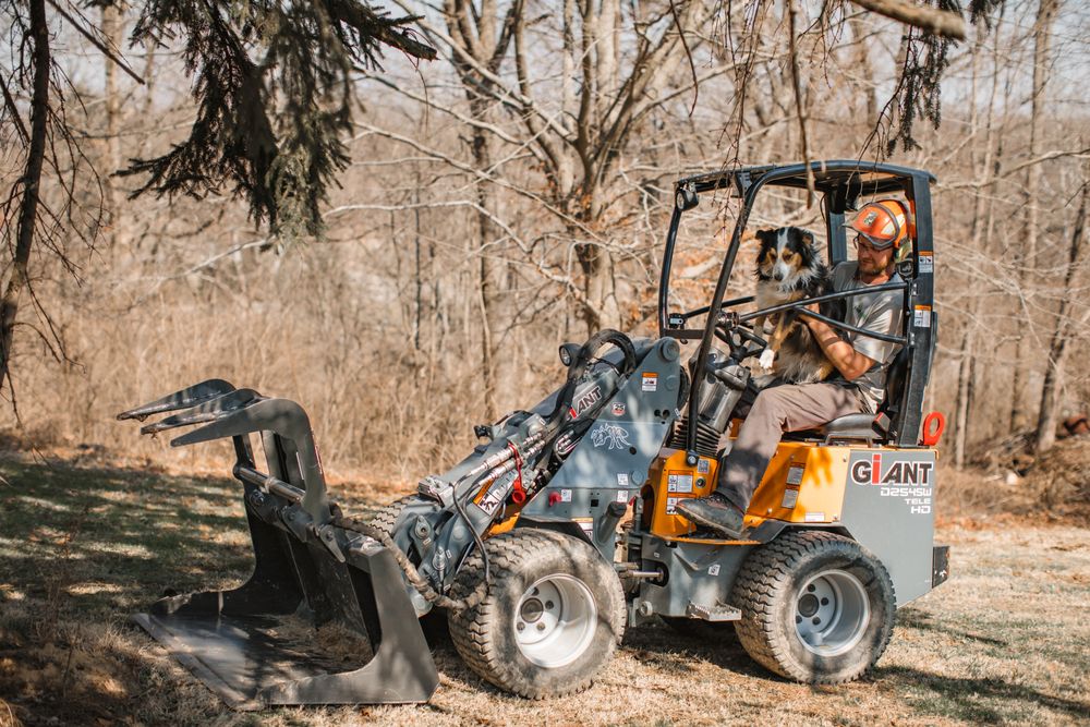 YARD SHARKS - Updated October 2025 - Request a Quote - 10 Photos ...