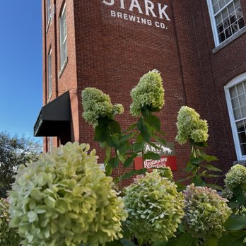 STARK BREWING - Updated July 2025 - 35 Photos & 26 Reviews - 500 N ...