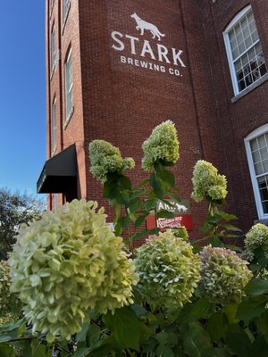 STARK BREWING - Updated January 2026 - 35 Photos & 29 Reviews - 500 N ...