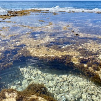 ZABLAN - Updated January 2026 - 39 Photos & 14 Reviews - 89-49 Laumania ...