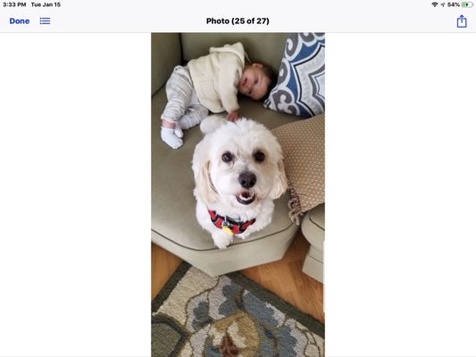 RANDOLPH ANIMAL HOSPITAL - Updated May 2025 - 18 Photos & 52 Reviews ...