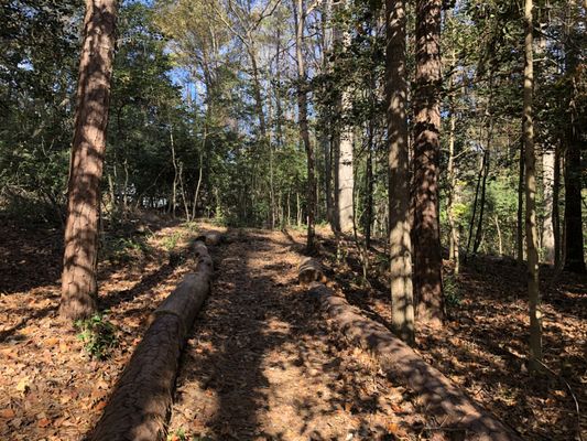 DUNWOODY NATURE CENTER - Updated November 2024 - 73 Photos & 28 Reviews ...