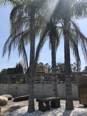 STONE PLUS - Updated June 2026 - 64 Photos & 25 Reviews - 5500 ...