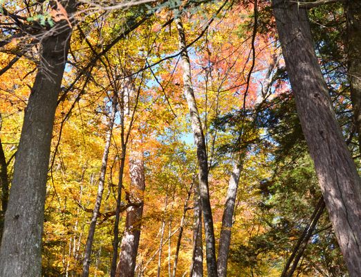 IARGO SPRINGS INTERPRETIVE SITE - Updated October 2025 - 40 Photos & 10 ...