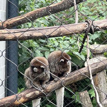 ROGER WILLIAMS PARK ZOO - Updated April 2025 - 1254 Photos & 302 ...