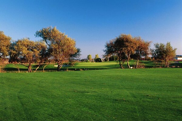 ROOSTER RUN GOLF CLUB - Updated July 2025 - 33 Photos & 58 Reviews ...