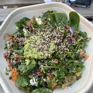 SPROUT & CO - Updated December 2025 - 58 Photos & 32 Reviews - 63 ...