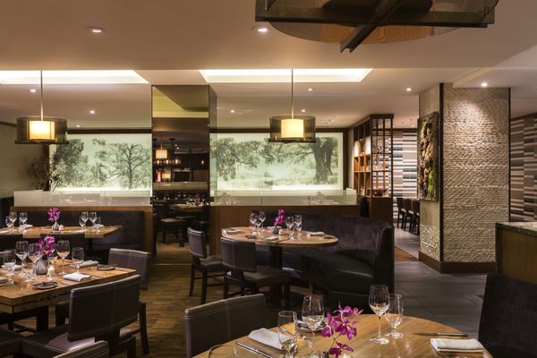 PARALLEL 37 - Updated June 2024 - 803 Photos & 233 Reviews - 600 ...