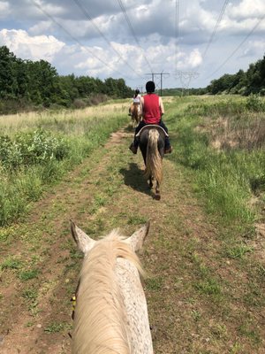 RED BUFFALO RANCH - Updated May 2024 - 67 Photos & 50 Reviews - 1106 ...