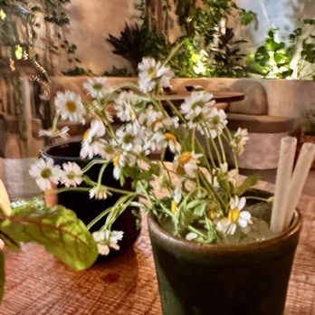 METEORA - Updated August 2024 - 1928 Photos & 424 Reviews - 6703 ...