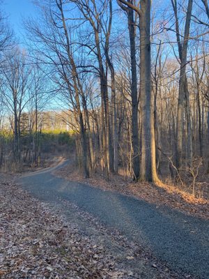 WHITNEY STATE FOREST - Updated December 2025 - 26 Photos - Lees Ridge ...