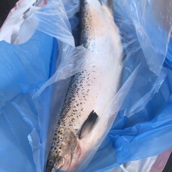 TWO COUSINS FISH MARKET - Updated August 2024 - 69 Photos & 81 Reviews ...