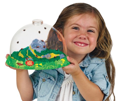 INSECT LORE - Updated July 2024 - 41 Photos & 78 Reviews - 132 S Beech ...