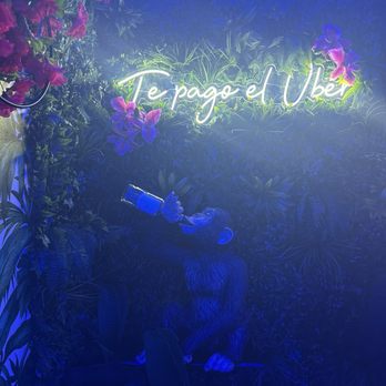 UNICO GASTROBAR - Updated November 2025 - 100 Photos - 36 Reviews - 937 ...